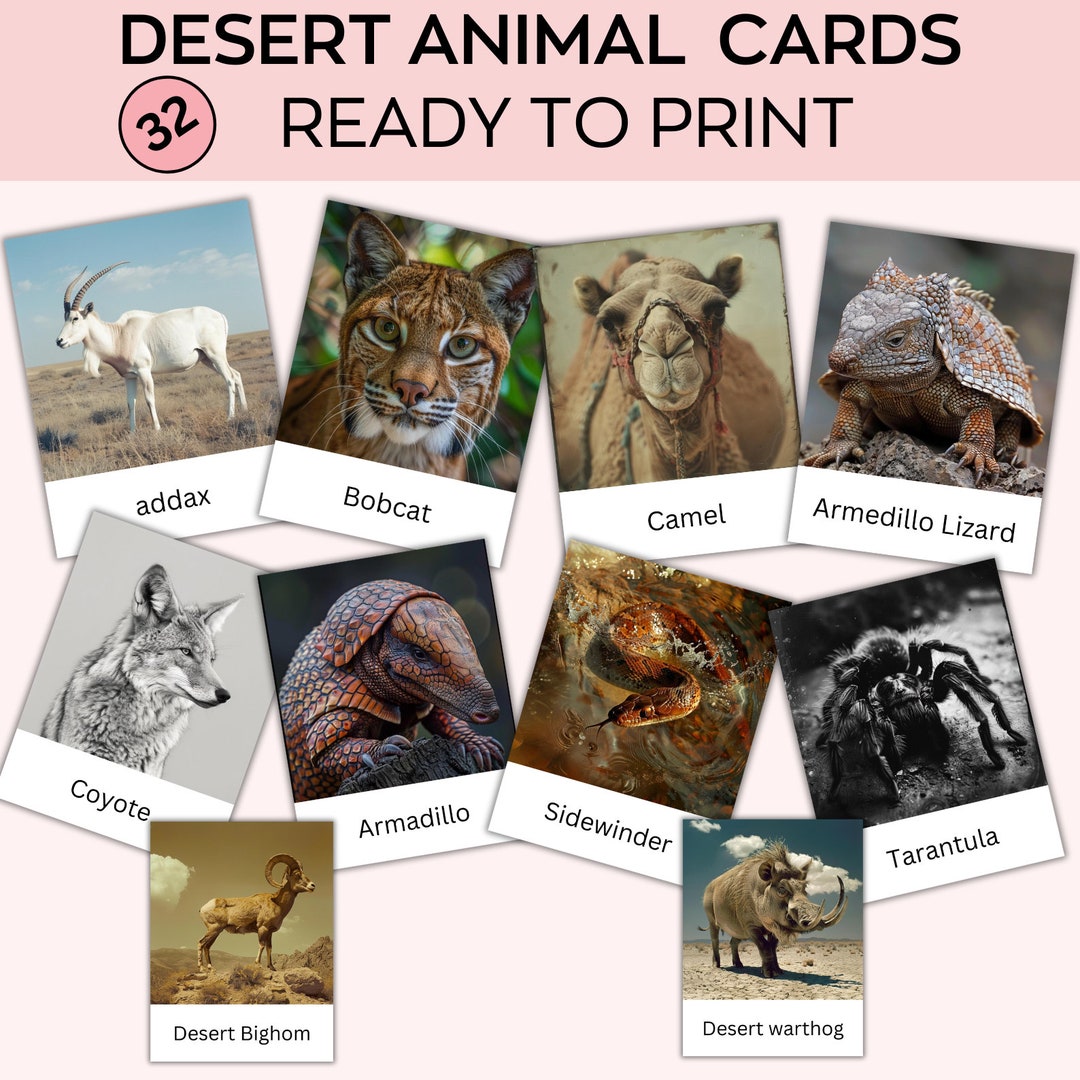 32 Desert Animal Flash Cards, Montessori Cards Printable, Nomenclature ...