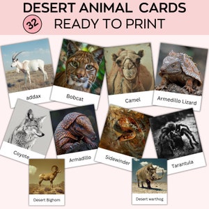 32 Desert Animal Flash Cards, Montessori Cards Printable, Nomenclature ...