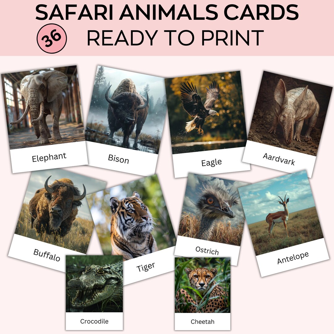 36 Safari Animal Flash Cards, Montessori Cards Printable, Nomenclature ...