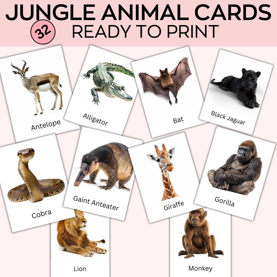 32 Forest ANIMALS Flash Cards, Montessori Cards Printable, Nomenclature ...
