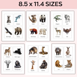 32 Forest ANIMALS Flash Cards, Montessori Cards Printable, Nomenclature ...