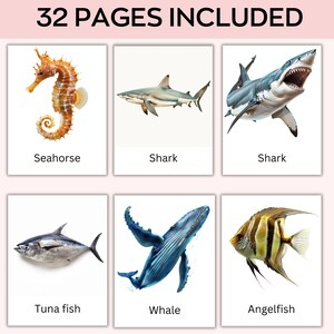 32 Ocean ANIMALS Flash Cards, Montessori Cards Printable, Nomenclature ...