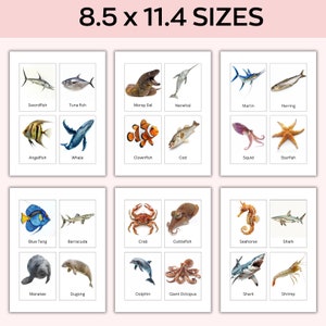 32 Ocean ANIMALS Flash Cards, Montessori Cards Printable, Nomenclature ...