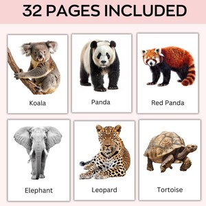 32 Forest ANIMALS Flash Cards, Montessori Cards Printable, Nomenclature ...