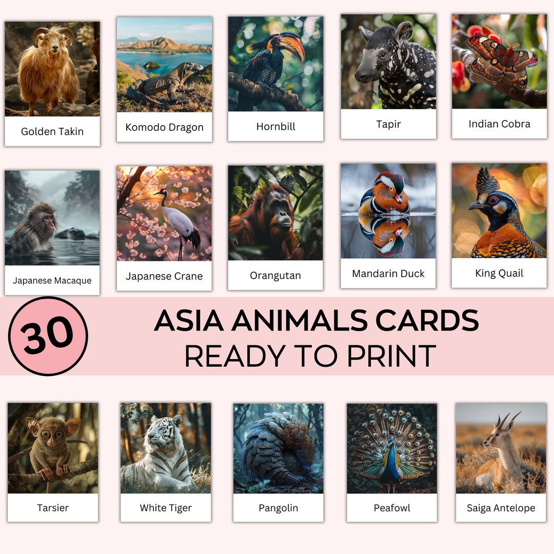 30 ASIAN ANIMALS Flash Cards, Montessori Cards Printable, Nomenclature ...