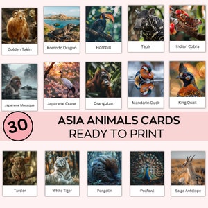 30 ASIAN ANIMALS Flash Cards, Montessori Cards Printable, Nomenclature ...