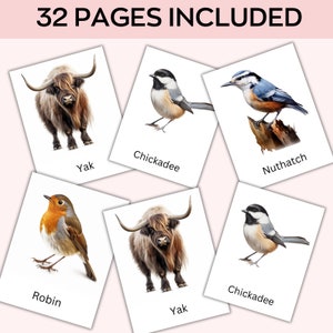 40 Forest ANIMALS Flash Cards, Montessori Cards Printable, Nomenclature ...