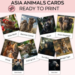 30 ASIAN ANIMALS Flash Cards, Montessori Cards Printable, Nomenclature ...
