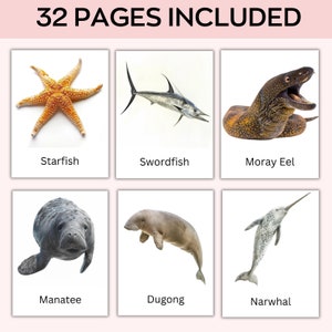 32 Ocean ANIMALS Flash Cards, Montessori Cards Printable, Nomenclature ...