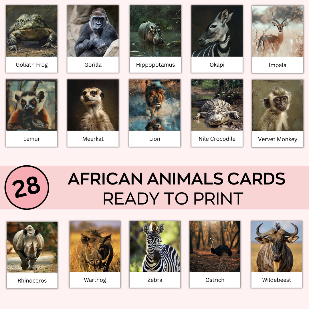 28 AFRICAN ANIMALS Flash Cards, Montessori Cards Printable ...