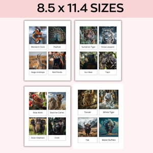 30 ASIAN ANIMALS Flash Cards, Montessori Cards Printable, Nomenclature ...