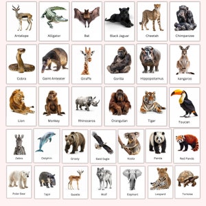 32 Forest ANIMALS Flash Cards, Montessori Cards Printable, Nomenclature ...