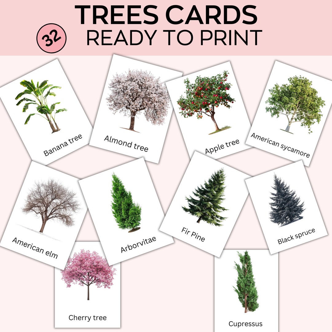 32 Trees Flash Cards, Montessori Cards Printable, Nomenclature Cards ...