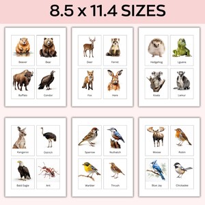 40 Forest ANIMALS Flash Cards, Montessori Cards Printable, Nomenclature ...