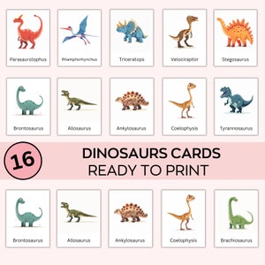 16 Dinosaur Flash Cards, Montessori Cards Printable, Nomenclature Cards ...