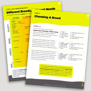 Finding Fido: Your Guide to Choosing the Dog That's Right for YOU - Etsy