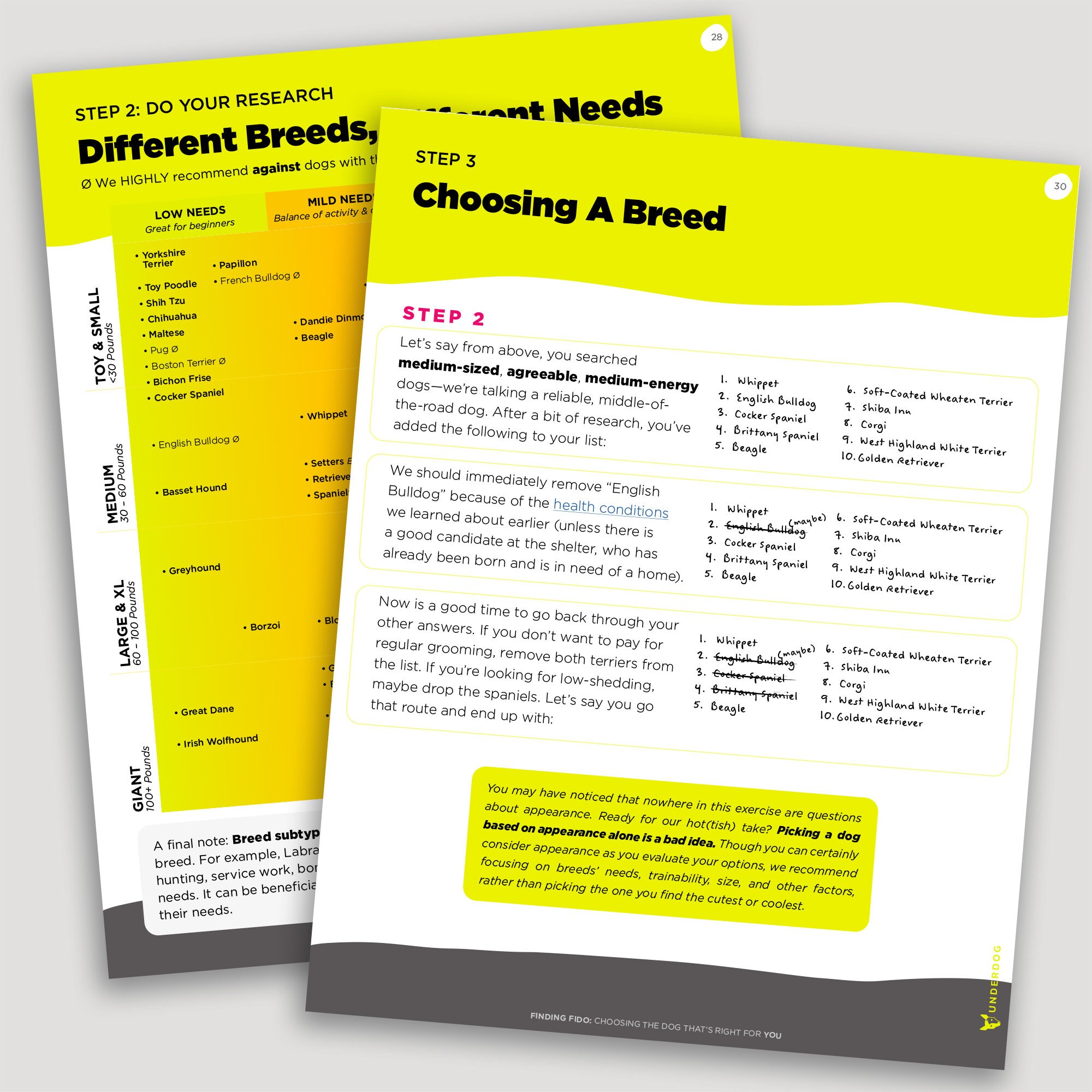 Finding Fido: Your Guide to Choosing the Dog That's Right for YOU - Etsy