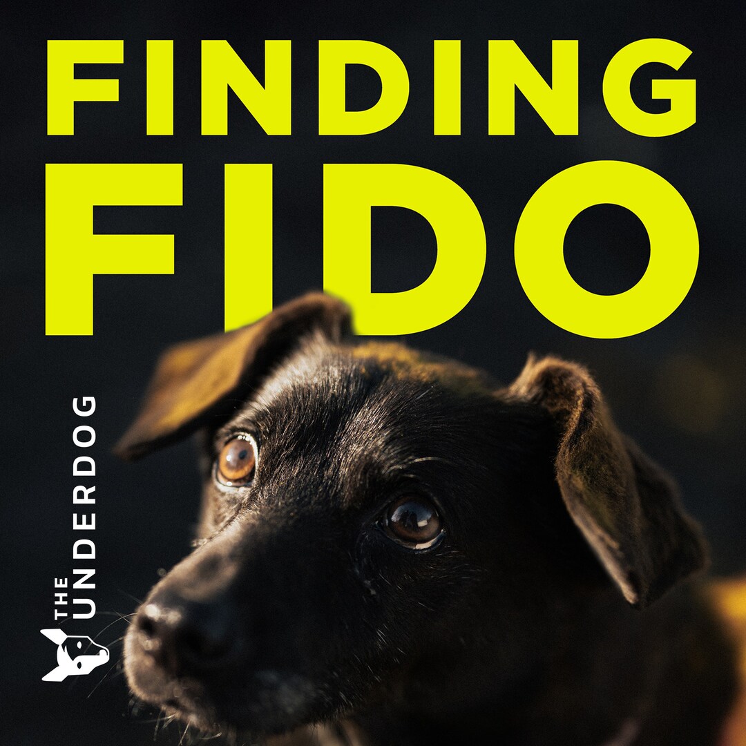 Finding Fido: Your Guide to Choosing the Dog That's Right for YOU - Etsy