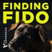 Finding Fido: Your Guide to Choosing the Dog That's Right for YOU - Etsy