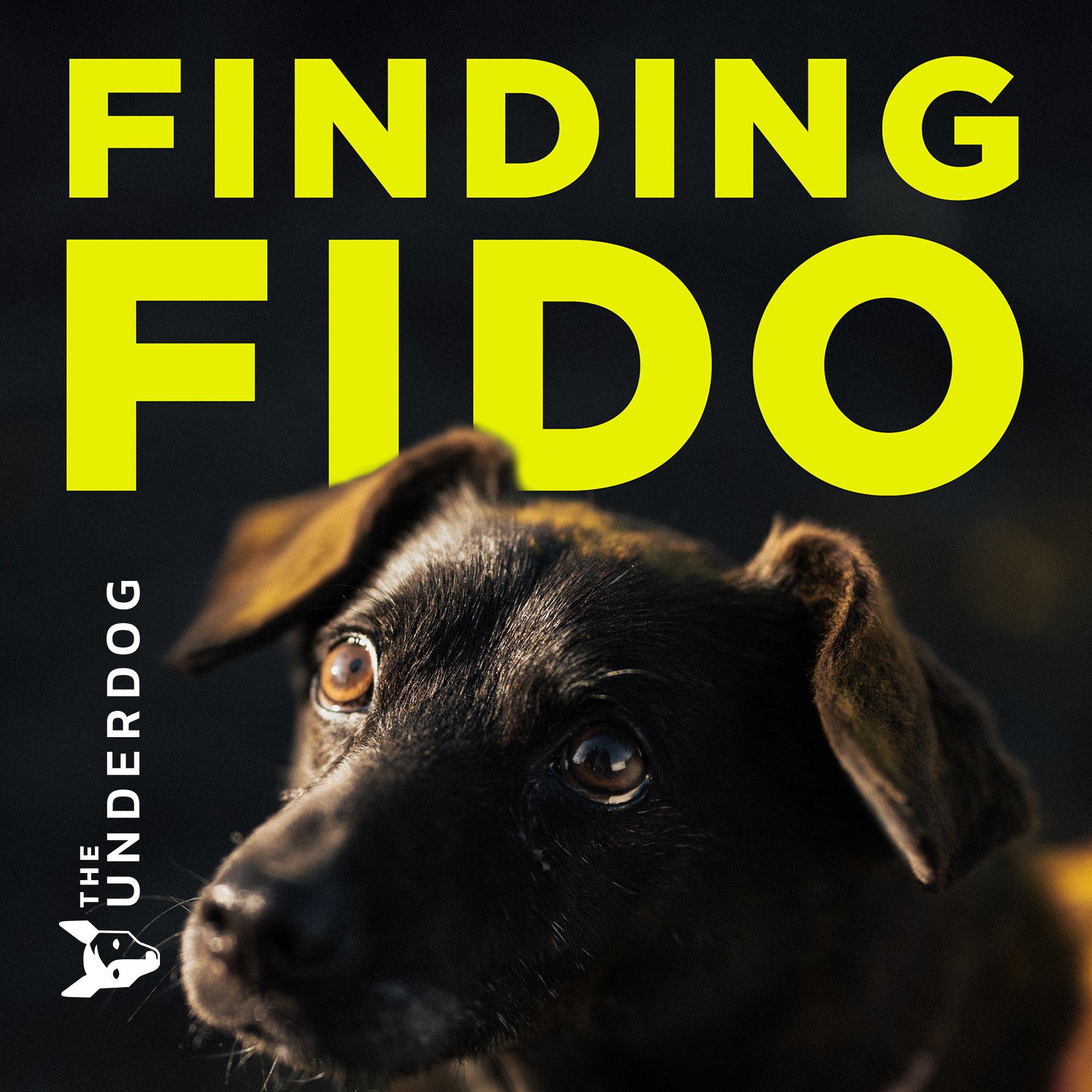 Finding Fido: Your Guide to Choosing the Dog That's Right for YOU - Etsy