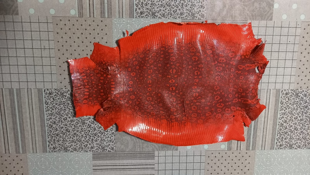 1 Red Tejus Leather Ref 20 - Etsy
