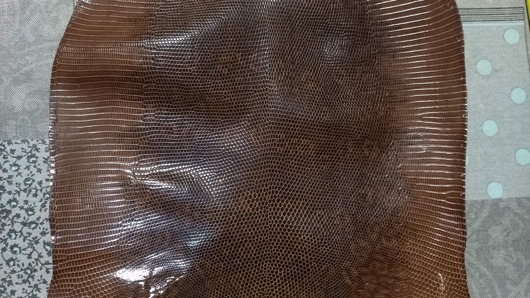 1 TEJUS Whole Skin Col. Brown Ref 9 - Etsy