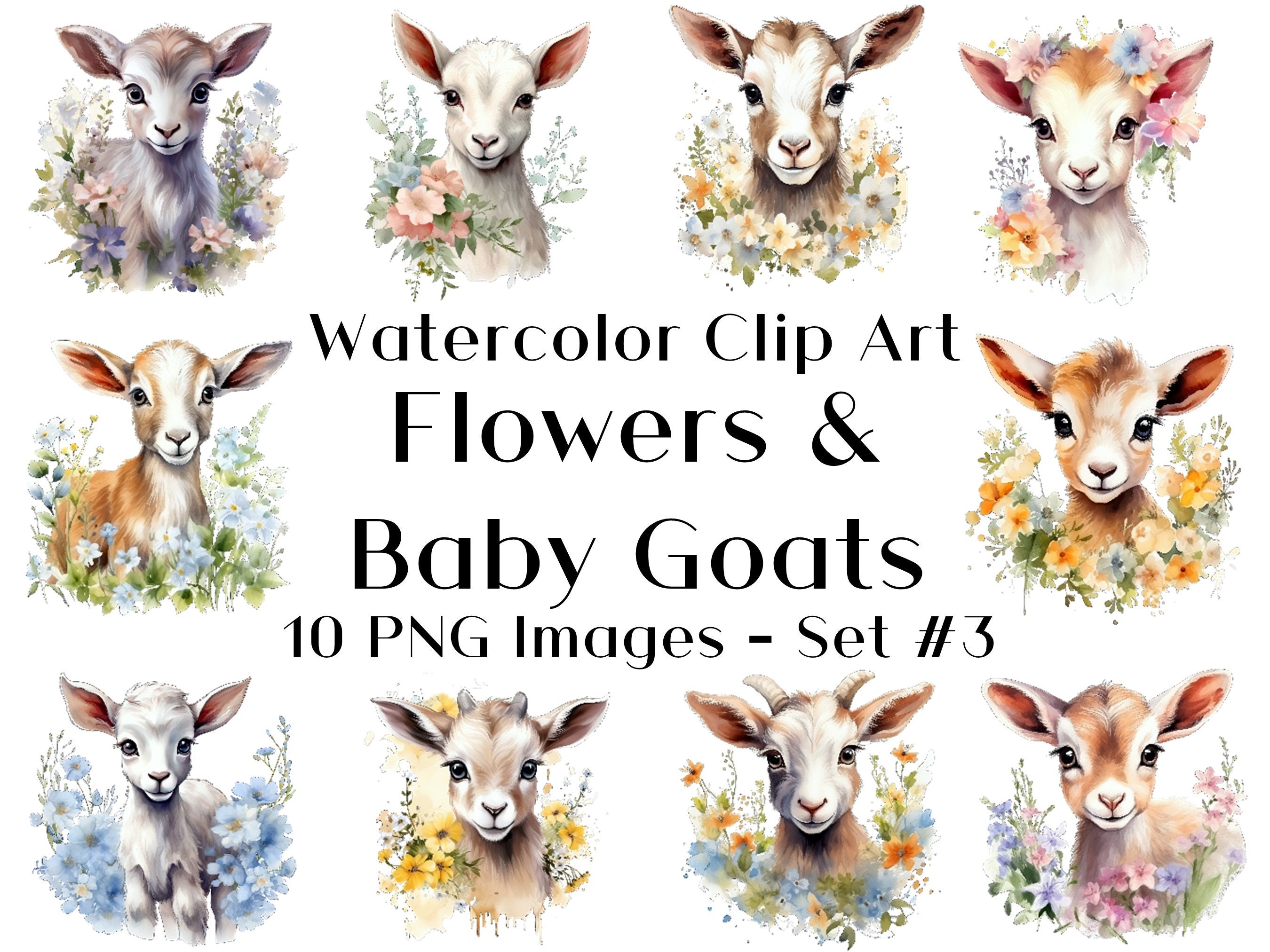 Watercolor Flower & Baby Goat Clip Art, 10 High Resolution Pngs ...