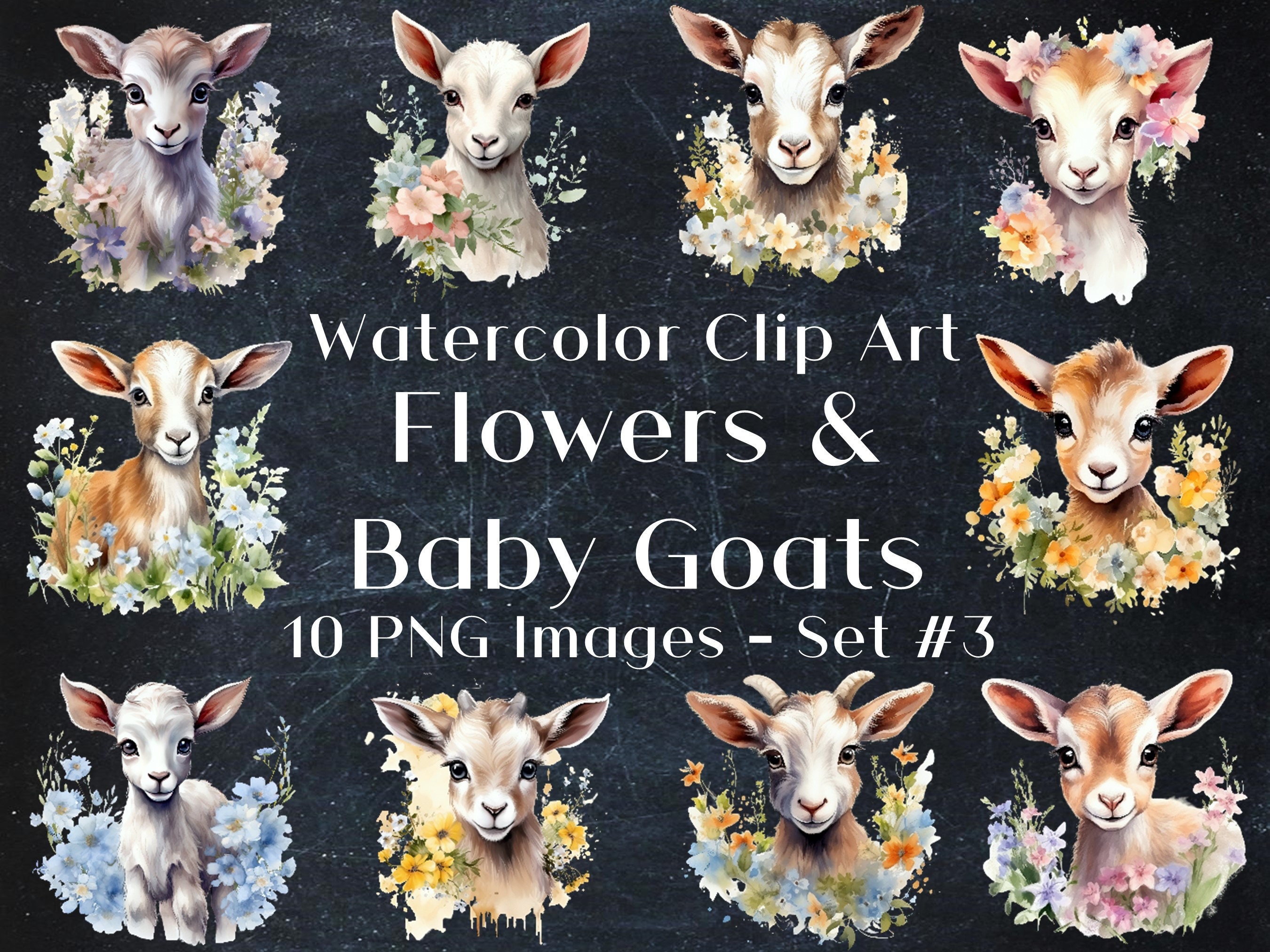 Watercolor Flower & Baby Goat Clip Art, 10 High Resolution Pngs ...
