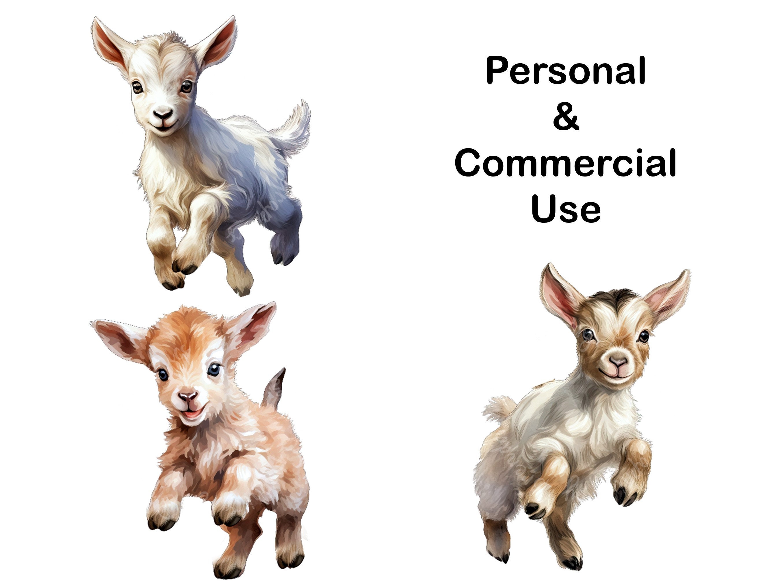 Watercolor Baby Goat Dance Playing Clip Art 10 High Res Pngs - Etsy