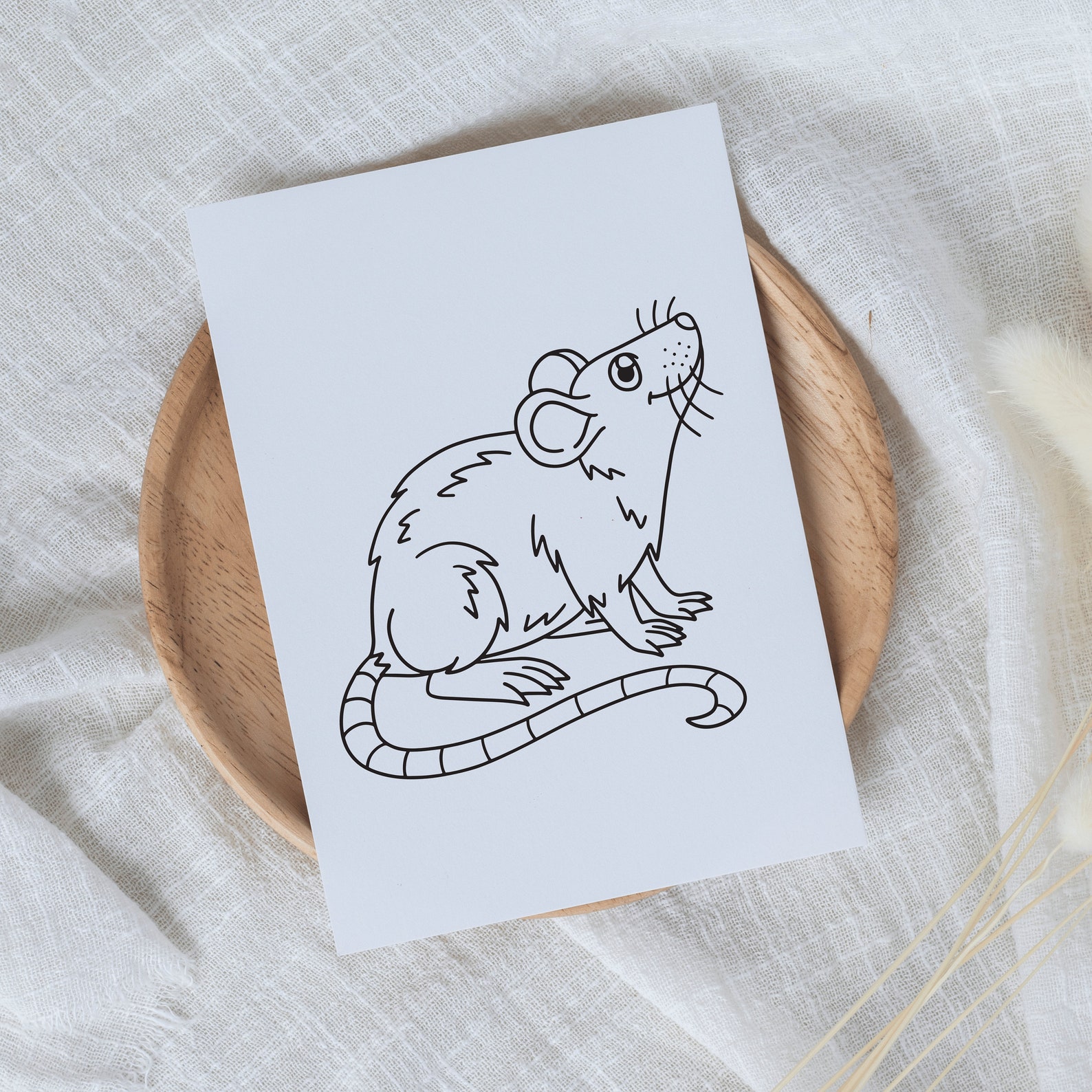 Rat Coloring Page, Animals Coloring Book for Kids, Animals Coloring ...