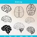 Brain Svg, Brain Clipart, Brain Cut File, Brain Cricut, Brain Vector ...