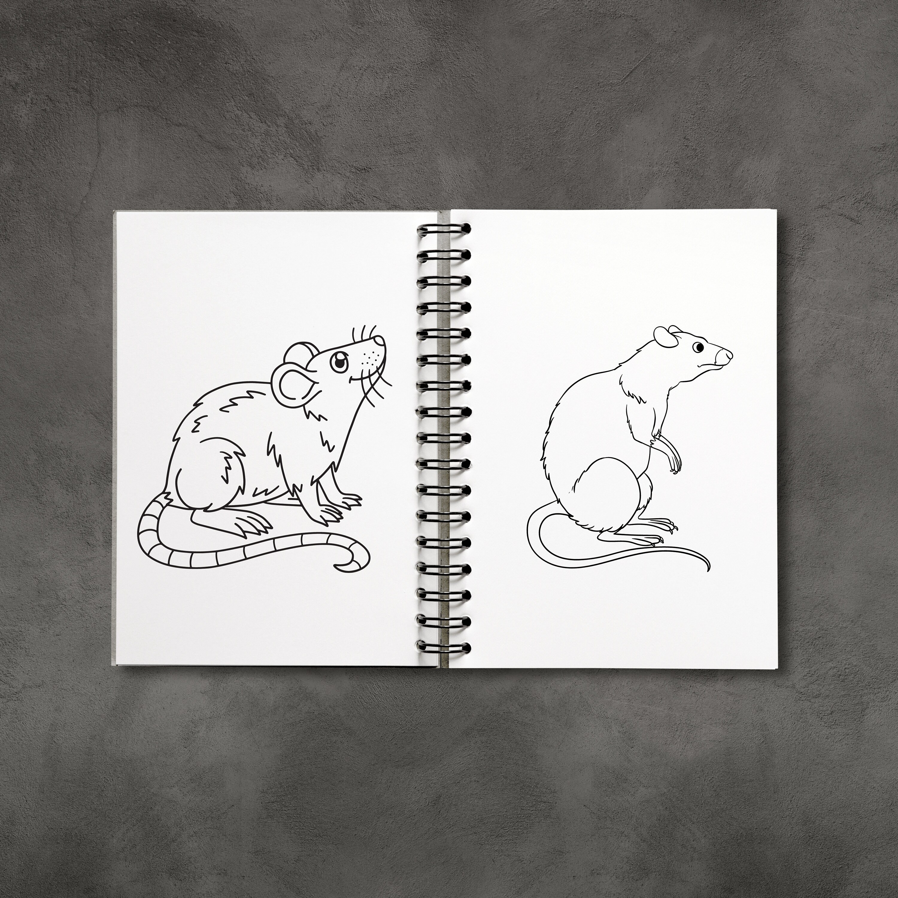 Rat Coloring Page, Animals Coloring Book for Kids, Animals Coloring ...