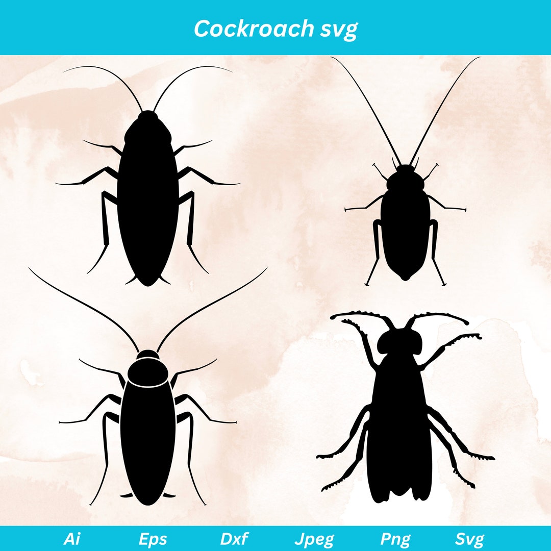 Cockroach Svg Cockroach Clipart Cockroach Vector Insect Svg Insect Clipart Cockroach