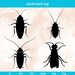 Cockroach Svg, Cockroach Clipart, Cockroach Vector, Insect Svg, Insect ...