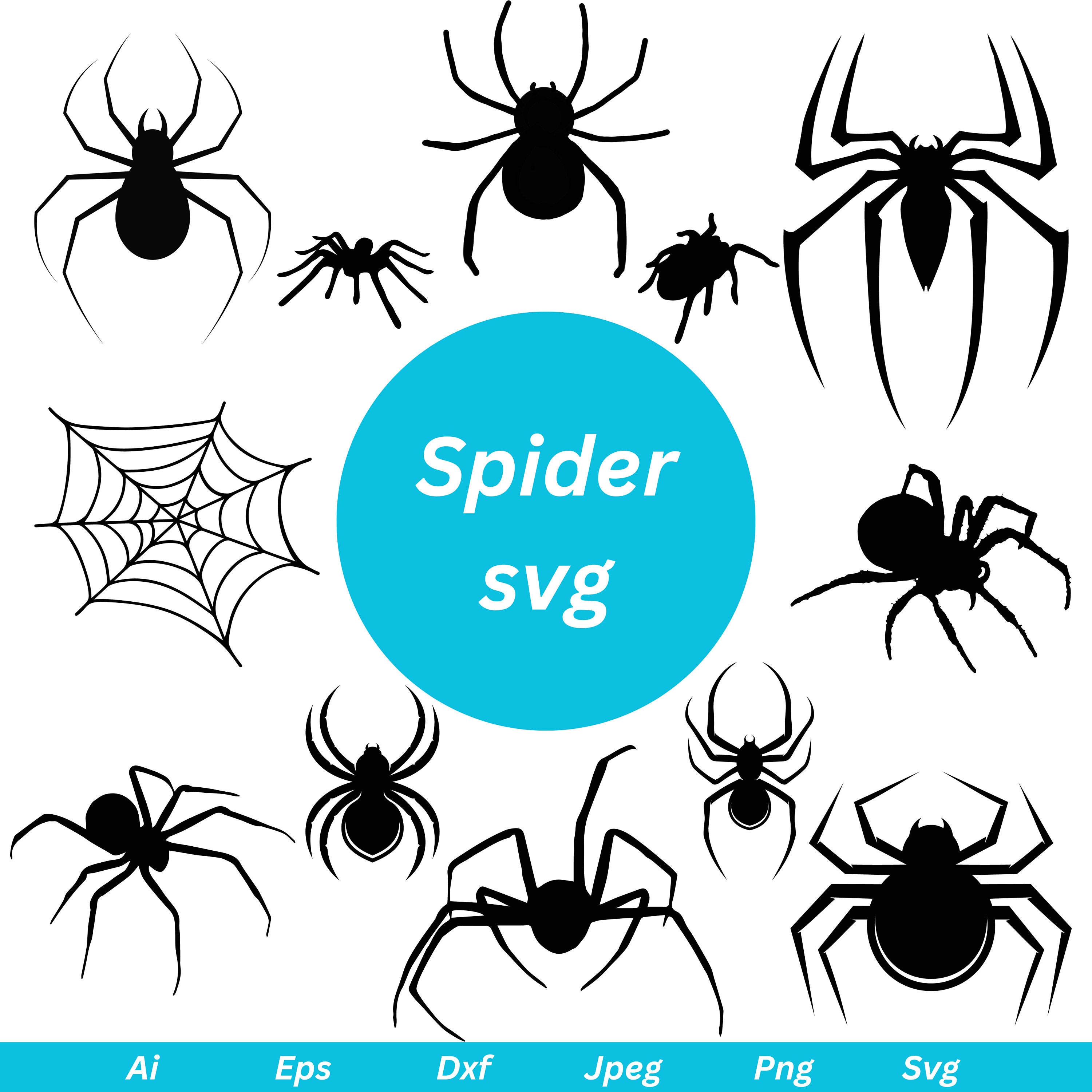 Spider Svg, Spider Clipart, Scary Spider Svg, Spider Web Svg, Tarantula ...