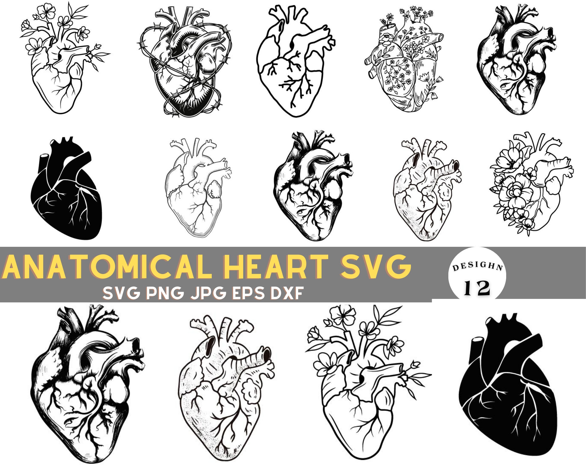 Anatomical Heart Svg Bundle,flower Heart Svg, Human Heart Svg, Anatomy ...