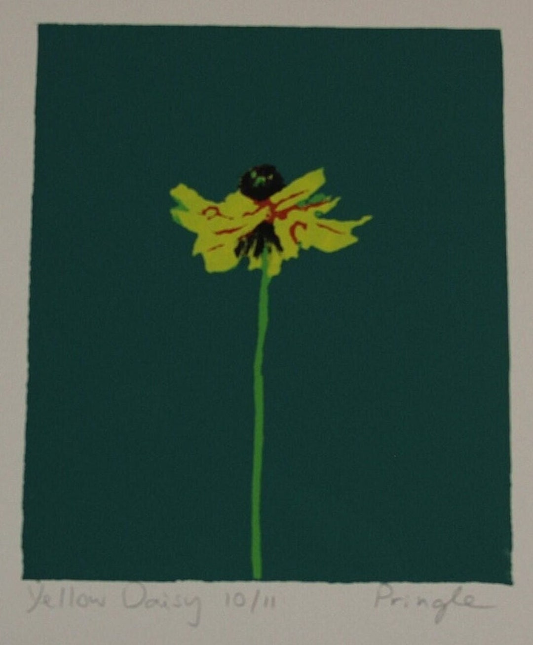 Yellow Daisy Original Screenprint/ Serigraph/ Silkscreen - Etsy
