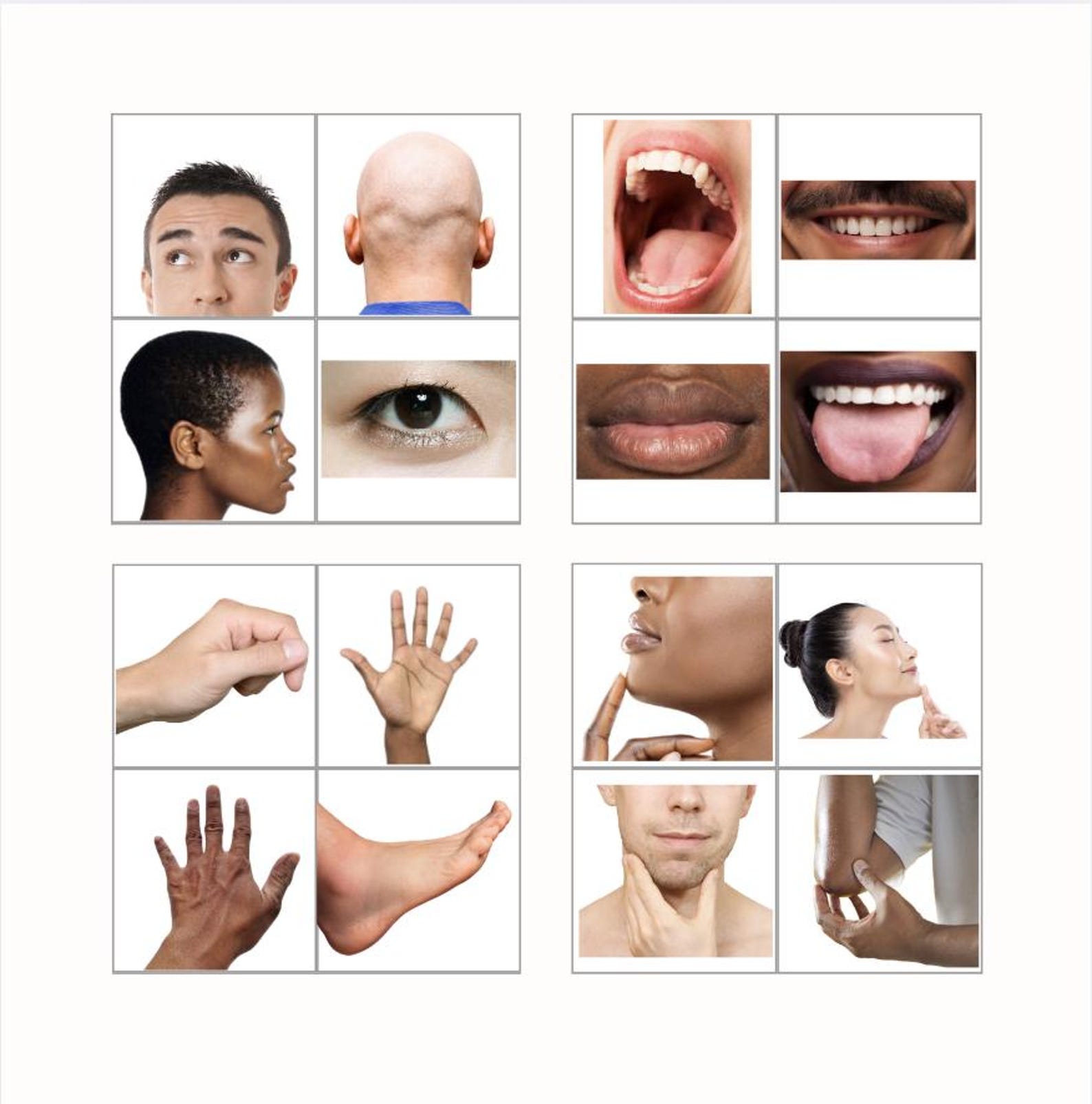 Body Parts Picture Cards for ABA - Digital Download - Etsy