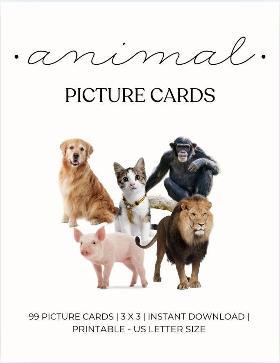 Animal Picture Cards for ABA - Digital Download - Etsy
