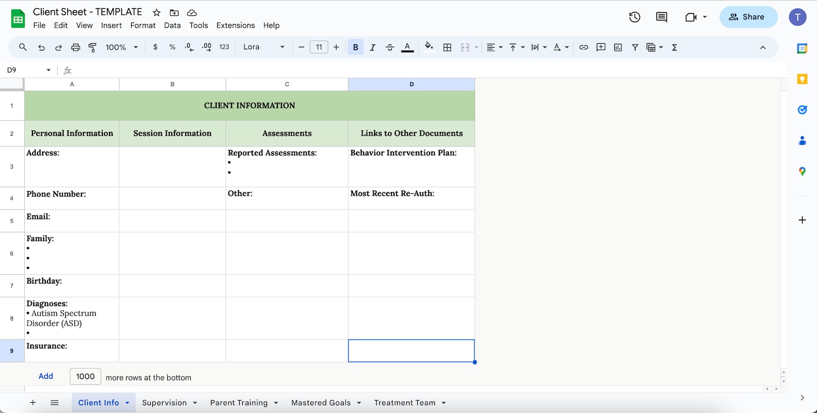 ABA Client Summary Document - Etsy