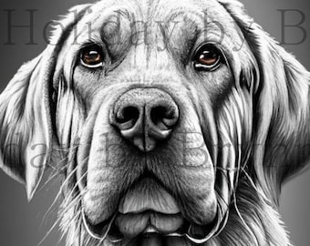 Printable Labrador Retriever Dog Adult Coloring Page 2 PDF - Etsy