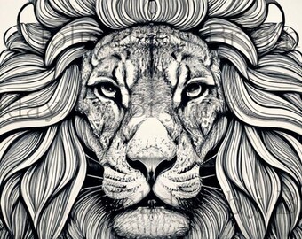 Printable Beautiful Lion Adult Coloring Page PDF - Etsy