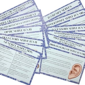 Assessment Flashcard Bundle - Etsy UK