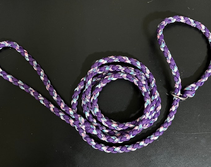 Dog Slip Lead "sisterdale" British Style - Round Braided - Paracord - Etsy