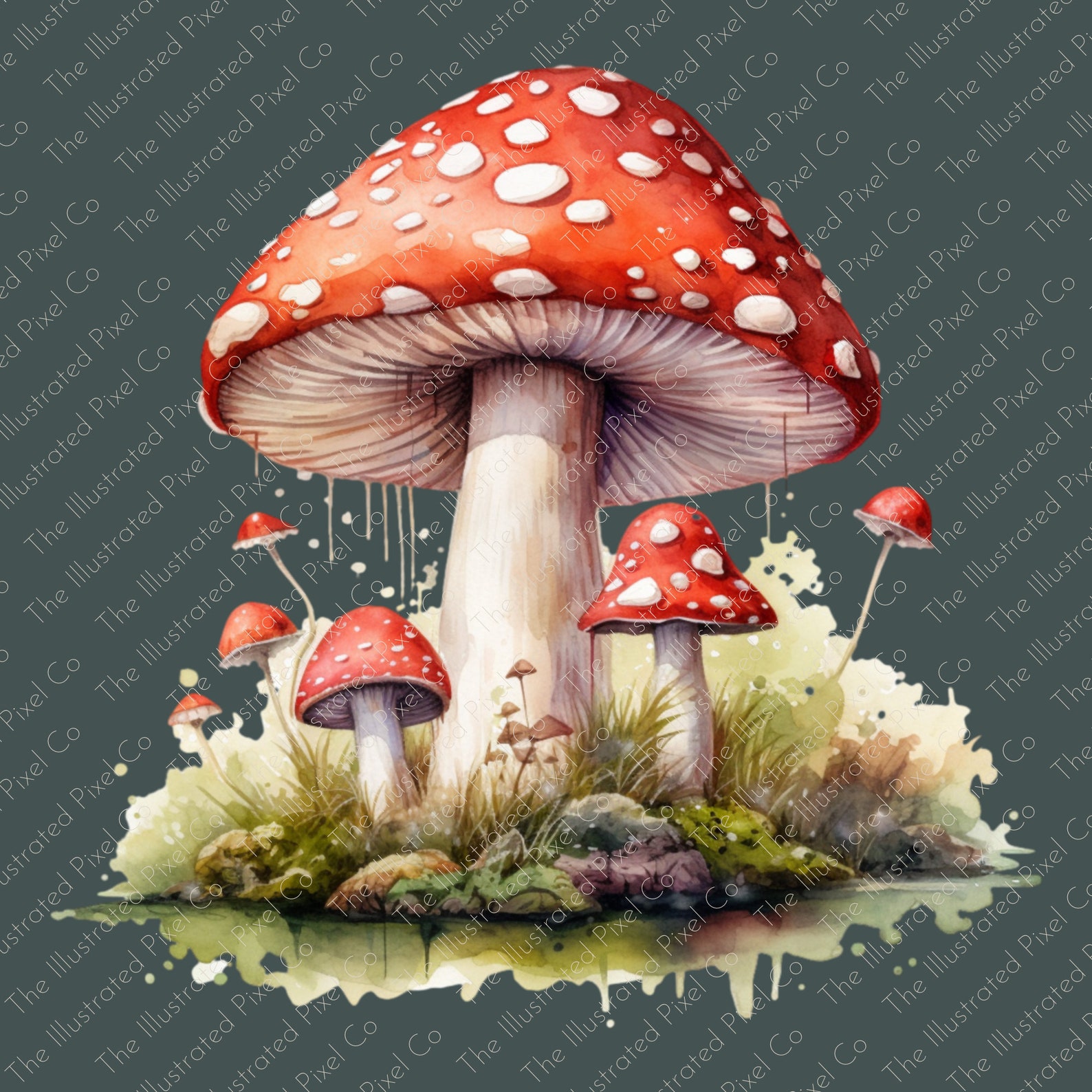 Watercolor Toadstools PNG Clipart DIGITAL DOWNLOAD - Etsy