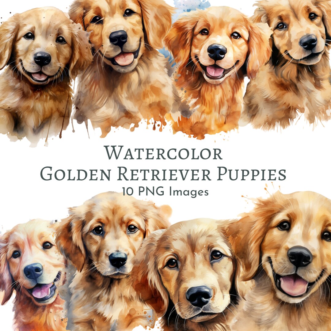 Watercolor Golden Retriever Puppies PNG Clipart DIGITAL - Etsy