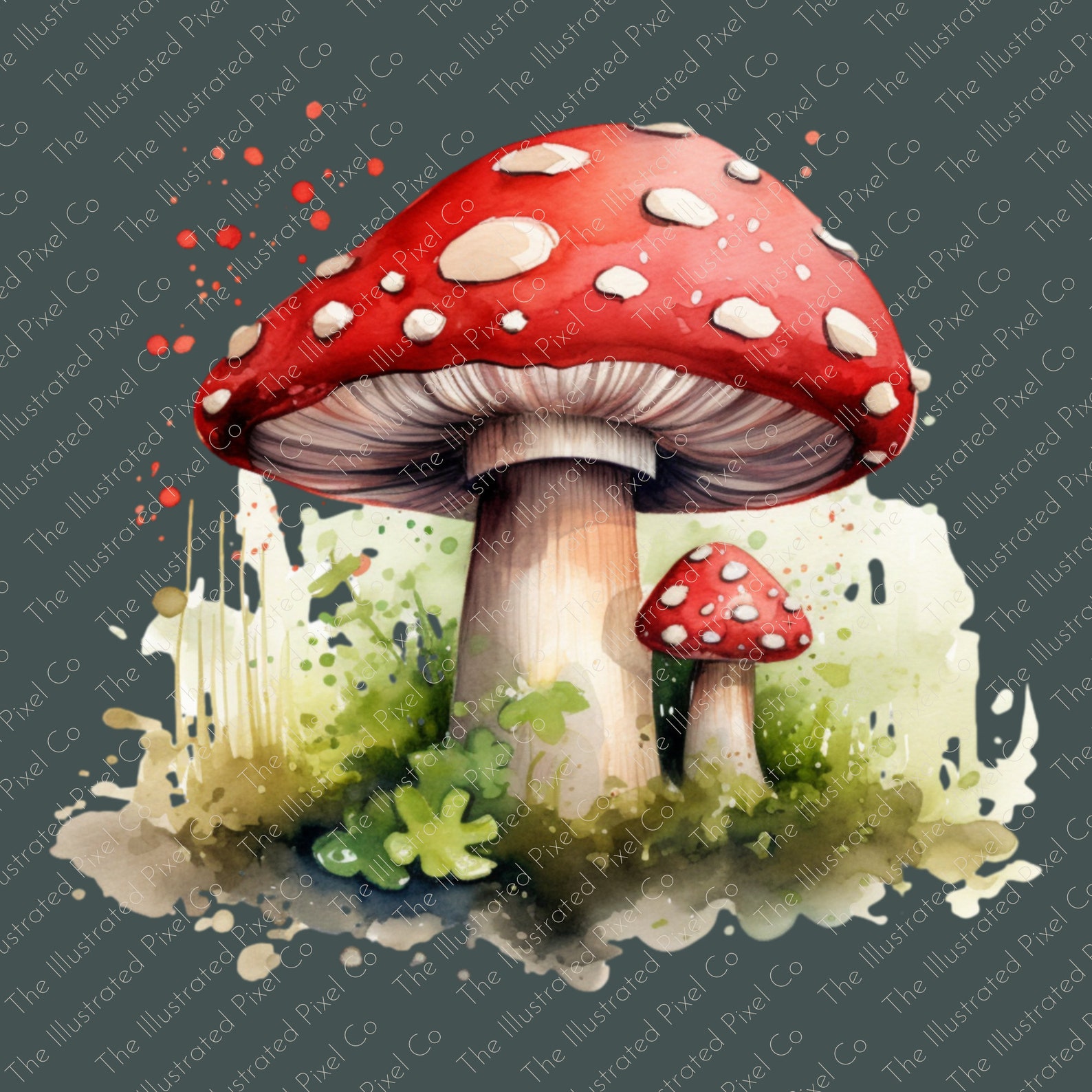 Watercolor Toadstools PNG Clipart DIGITAL DOWNLOAD - Etsy