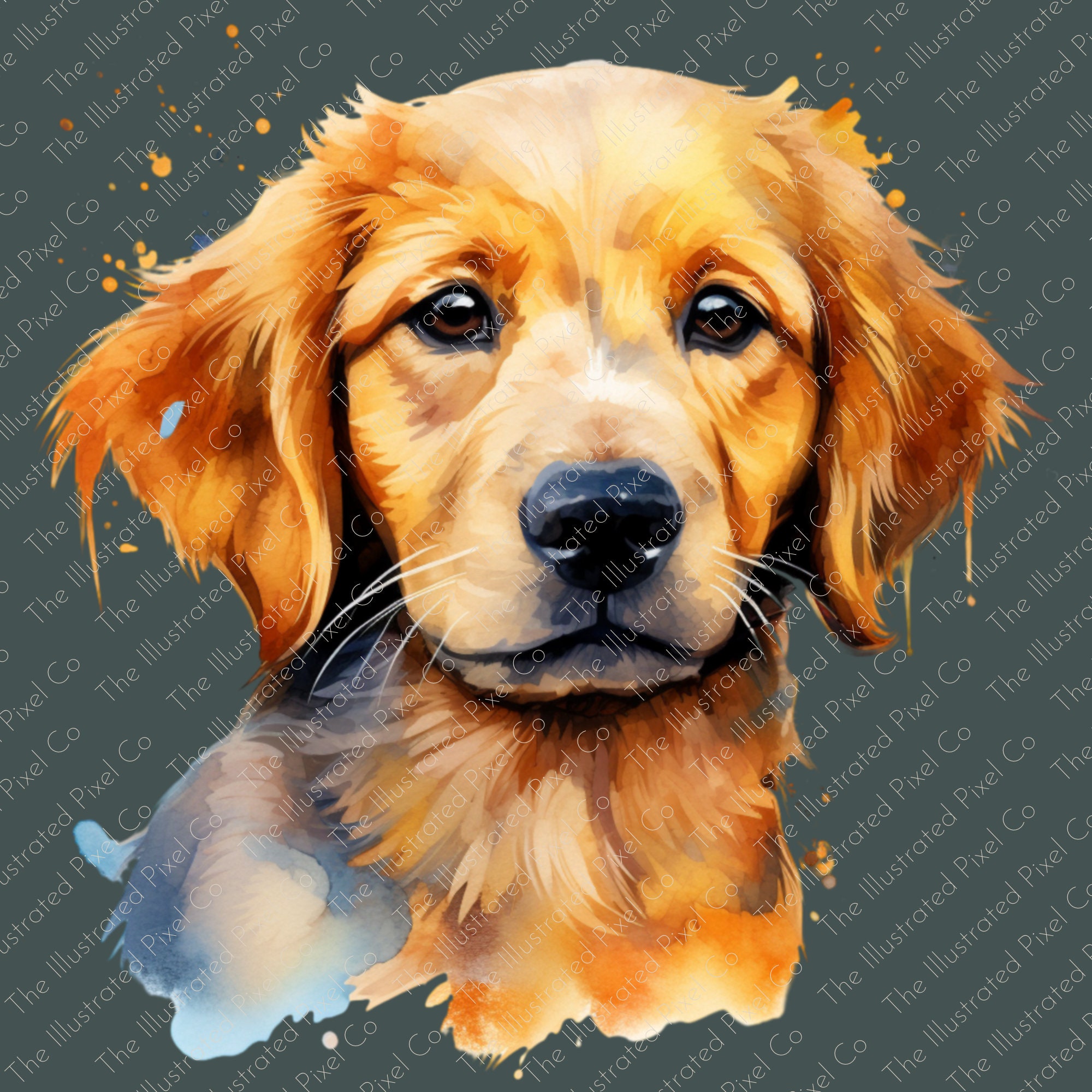 Watercolor Golden Retriever Puppies PNG Clipart DIGITAL - Etsy