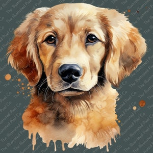 Watercolor Golden Retriever Puppies PNG Clipart DIGITAL - Etsy