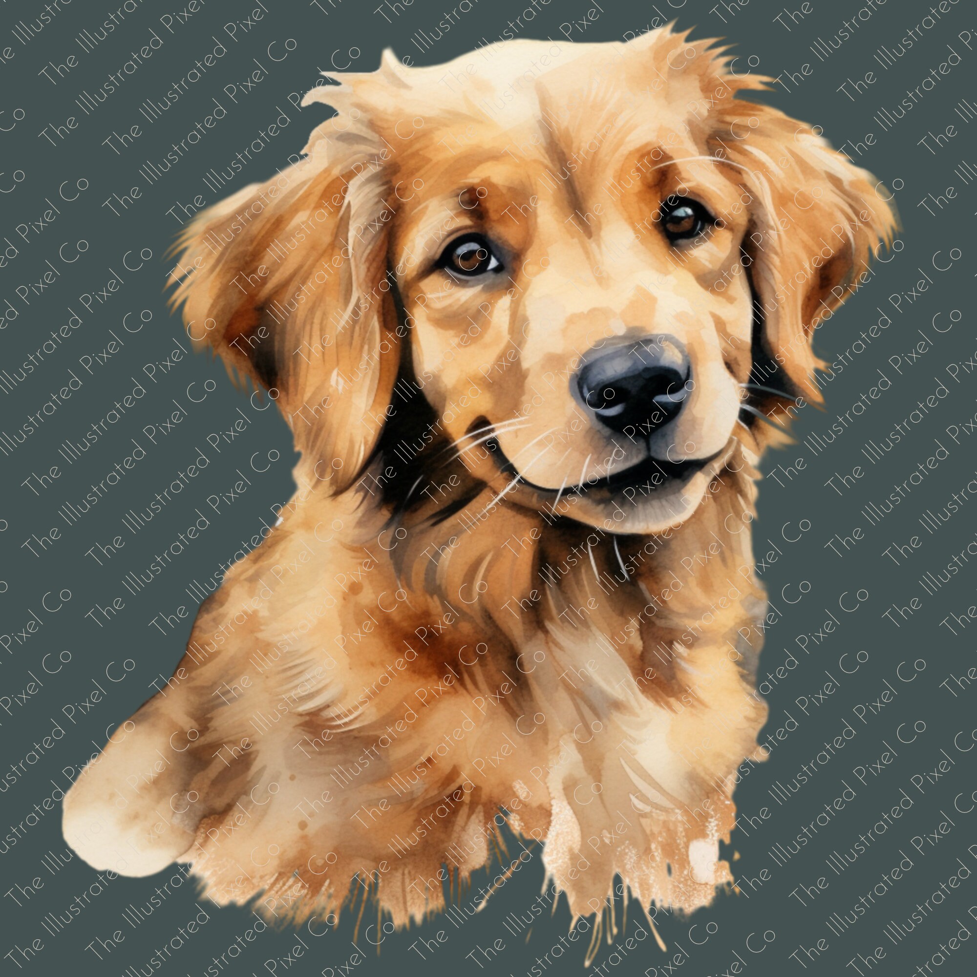 Watercolor Golden Retriever Puppies PNG Clipart DIGITAL - Etsy